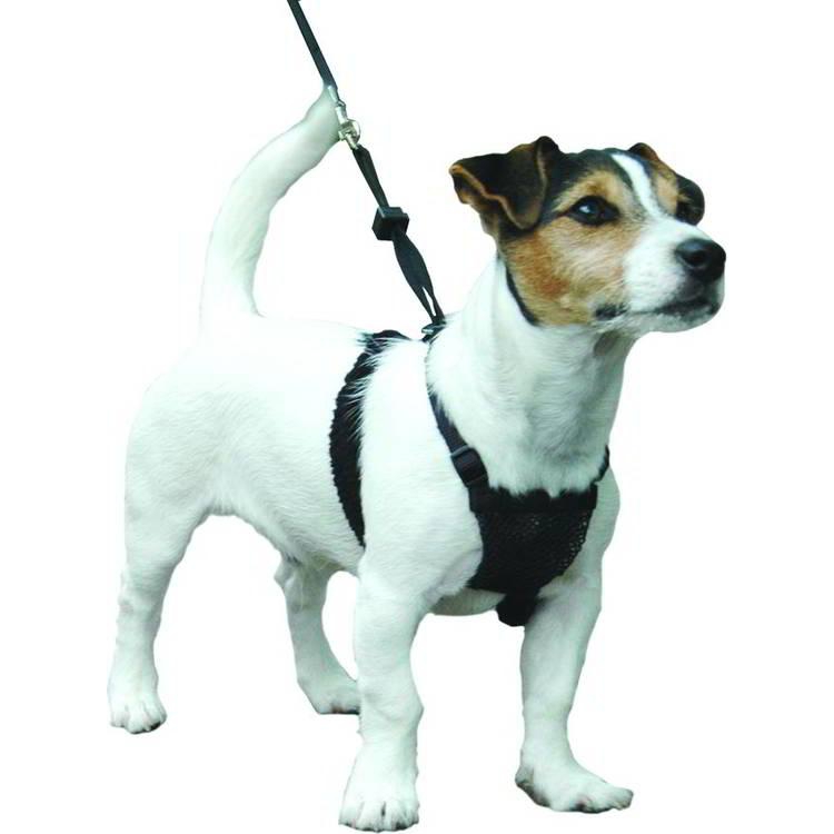 Akva-exo | Animals Non-Pull výcvikový postroj M pro psa